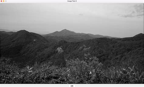 Pythonで画像処理 白黒画像に変換する TrueWalk