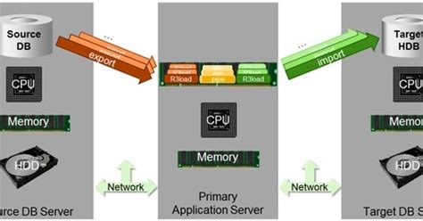 SAP BASIS Crew Database Migration Option DMO