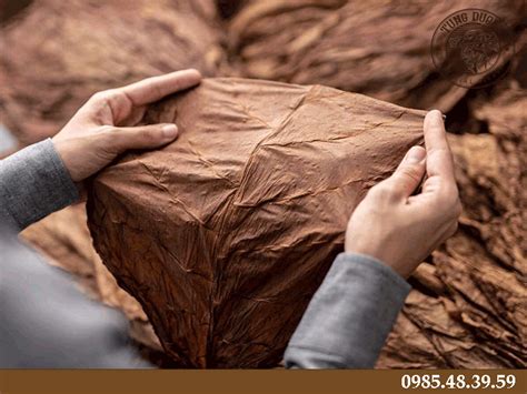 Tìm Hiểu Về Phần Wrapper Của Xì Gà