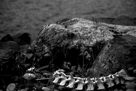 Activating The Edge On Behance