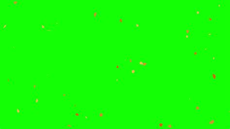 Leaf Fall Animation Autumn Maple Leaves Falling On Green Chromakey
