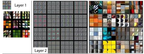 Saliency Maps In Convolutional Neural Networks