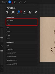 Best Procreate Canvas Settings Step By Step On How To Set Up Your Canvas