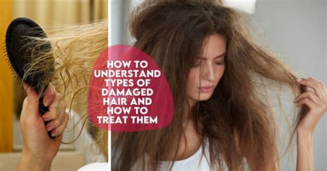 How To Understand Types Of Damaged Hair And How To Treat Them