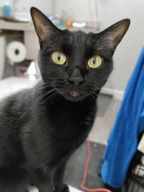 She Doesnt Like Me To Take Baths Album On Imgur