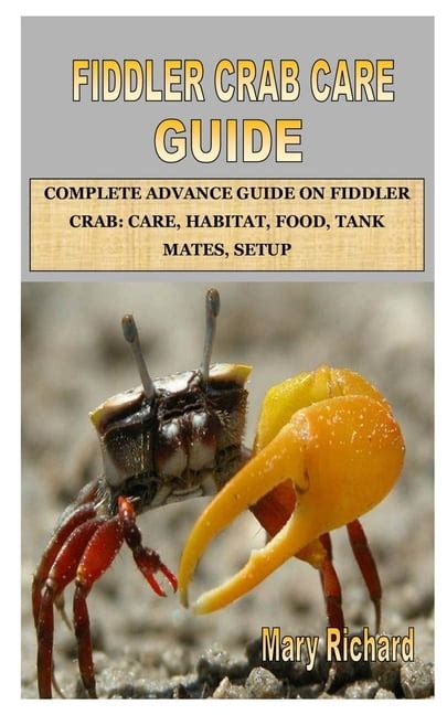 Fiddler Crab Recipes Besto Blog