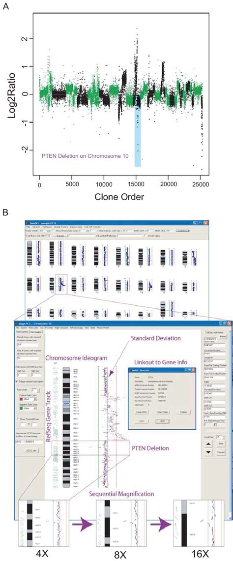 figure 2 from computational methods for the analysis of array