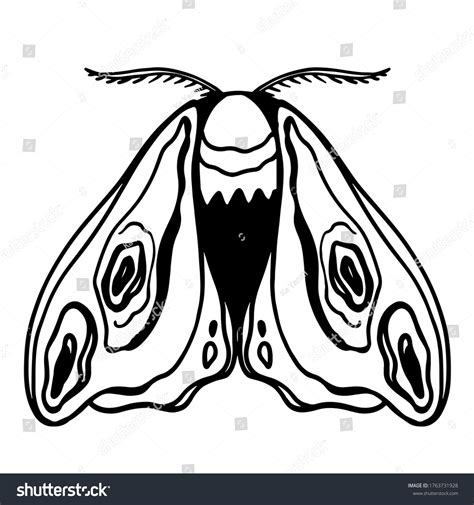 Moth Antenna Over 6715 Royalty Free Licensable Stock Illustrations