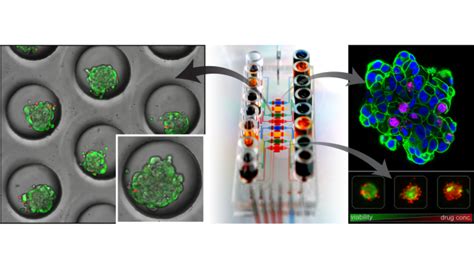 Microsystems And Nanoengineering