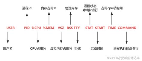 3 linux的进程和服务管理 请显示当前系统所有服务的各个运行级别的运行状态 csdn博客