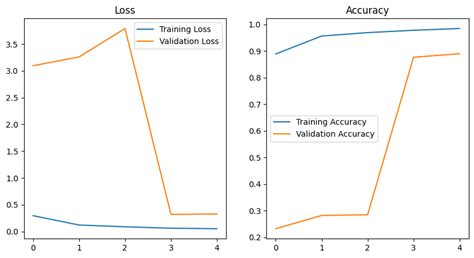 Github Srt3264 Brain Tumor Mri Classification