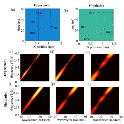 A Experimental And B Simulated Space Time Plots Of The Propagating