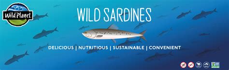 Wild Planet Wild Sardines In Water Skinless And Boneless Keto And Paleo