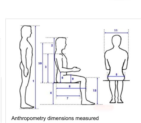 Человек Сидит На Стуле Рисунок 50 Фото