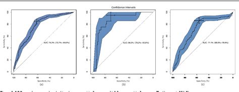 Figure 3 From Deep Neural Network And Radiomics Based Magnetic Resonance Imaging System For