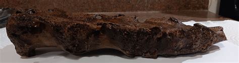 Se Texas Large Sacrum Fossil Id The Fossil Forum