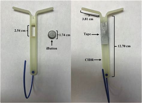 Vaginal Temperature Monitor Download Scientific Diagram