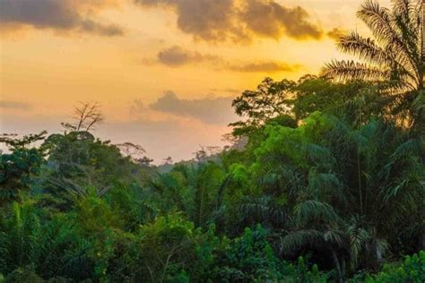 Qu Est Ce Que Le R Cit De La Gynarchie Via