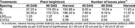 Effect Of Spacing On Growth Parameters At Different Growth Stages Of