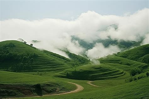 푸른 언덕에 푸른 잔디 후지산의 아름다운 봄 논 아소시 아소 구마모토 현 배경 일러스트 및 사진 무료 다운로드 Pngtree