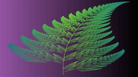 Barnsley Fern The Coding Train
