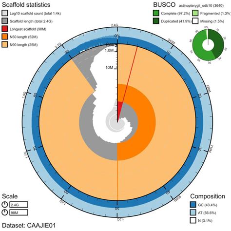 genome assembly of salmo trutta fsaltru1 1 metrics the blobtoolkit