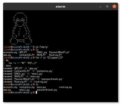 Bash Shell Convert Uppercase To Lowercase In Linux Nixcraft