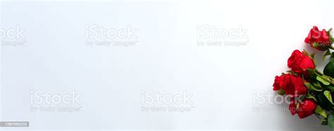 발렌타인 데이 빨간 장미와 흰색 테이블에 녹색 잎이 많은 가지 닫고 디자인 및 텍스트 입력을 위한 공간을 복사합니다 흰색 배경 0명에 대한 스톡 사진 및 기타 이미지