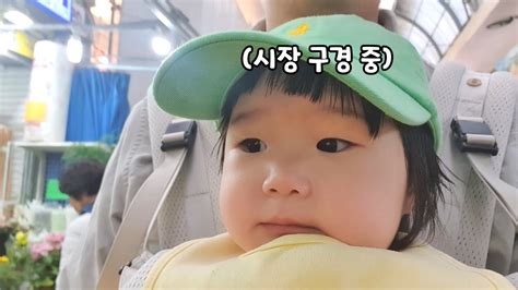 아빠와 아기띠 산책하는 아기👨‍👧 생후 6개월 Youtube