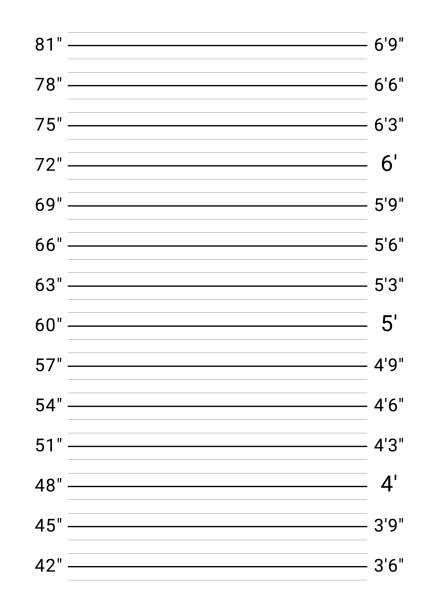 70 Jail Height Chart Stock Illustrations Royalty Free Vector Graphics