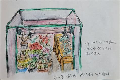 정원 가꾸기 마음 가꾸기 그림일기 29화