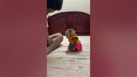 Lovely Bro Max Sit Play With Dad Youtube