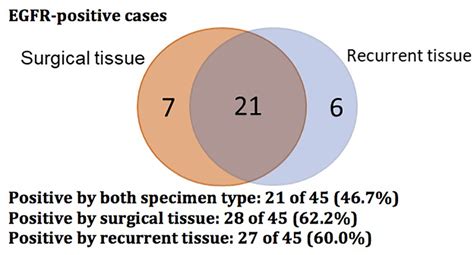 Venn Diagram Showing Egfr Positive Status Of 45 Cases With Surgical And