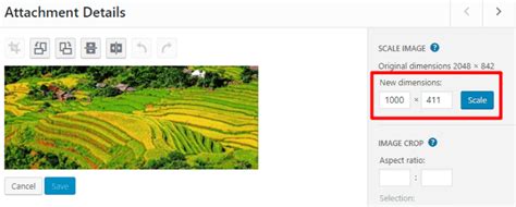 25 Common WordPress Image Errors Issues How To Fix Them