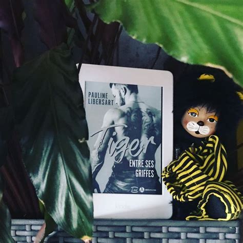 Tiger Book Cover Design