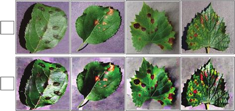 sample image of hybrid contrast enhancement a original images b