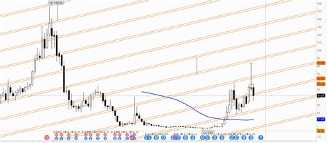 Fractal Nature Of The Beast Usethinkscript Community