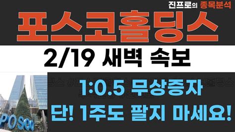 포스코홀딩스 세계최고의 기업이 될겁니다장기투자하세요 100배 수익납니다 포스코홀딩스 주가전망 양극재 에코프로 포스코퓨처엠 진프로 Youtube