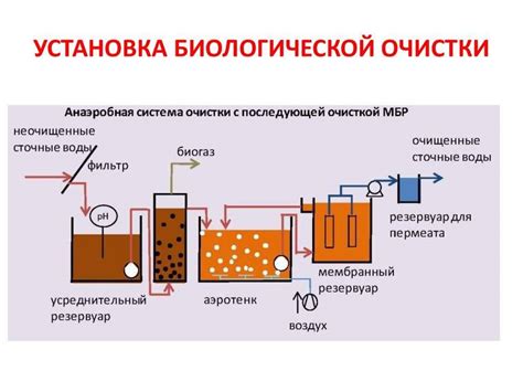 Активный ил для очистки сточных вод - что это, принцип работы, цена