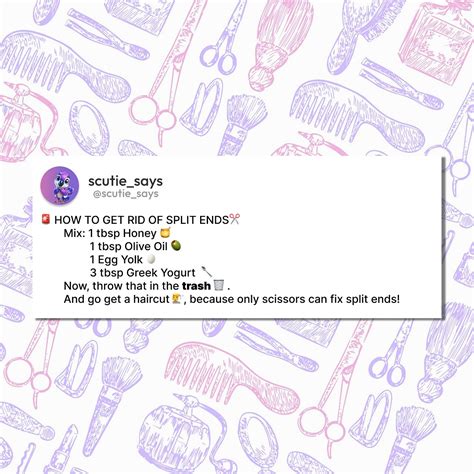 Scuts • Instagram Photos And Videos