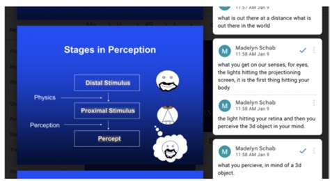 Lecture 2 Perception Flashcards Quizlet