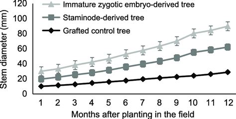 Average Stem Diameter Of Cocoa Trees Propagated By Somatic
