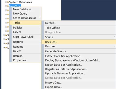 How To Get A Database Backup And Encrypt Your Master Key Documentation And Support