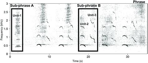 Spectrogram Representation Of A Typical Humpback Whale Song Phrase Download Scientific Diagram