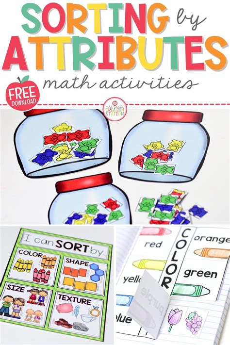Engaging Sorting Activities For Preschoolers