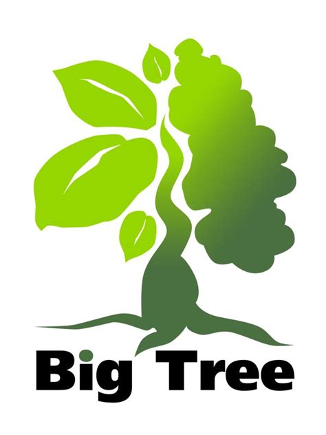 Sutherlandia Big Tree