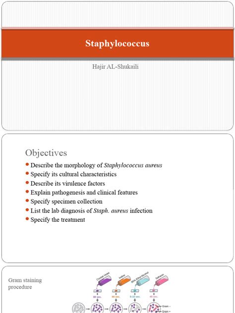 Staphylococcus Pdf Staphylococcus Staphylococcus Aureus