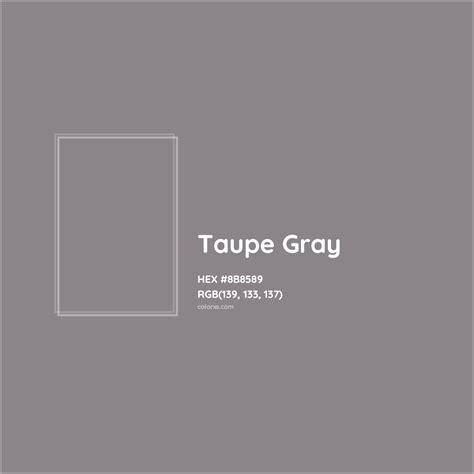 About Taupe Gray - Color codes, similar colors and paints - colorxs.com