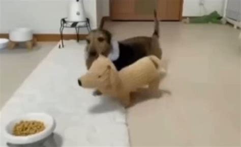 챱 On Twitter 밥 먹을 때 항상 자기 친구들 데려와서 같이 먹는데 애기 때 부터 지금까지 쭉 ㅠㅠㅠㅠ 아 진짜 행복해짐