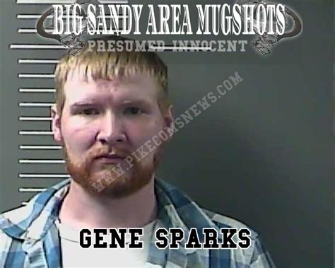 Gene Sparks Big Sandy Area Mugshots News